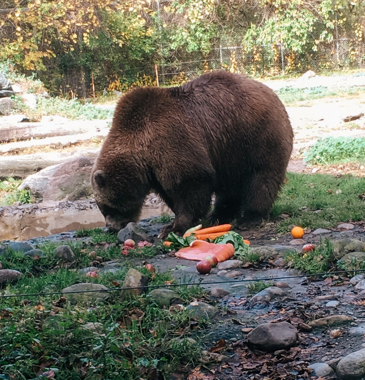25 Things to Do in Toronto, Canada - Fairytale Wonders