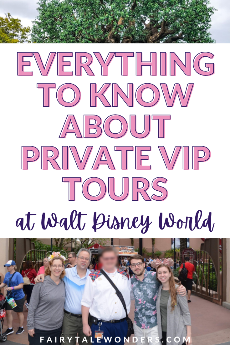 Private VIP Tour at Walt Disney World - Fairytale Wonders